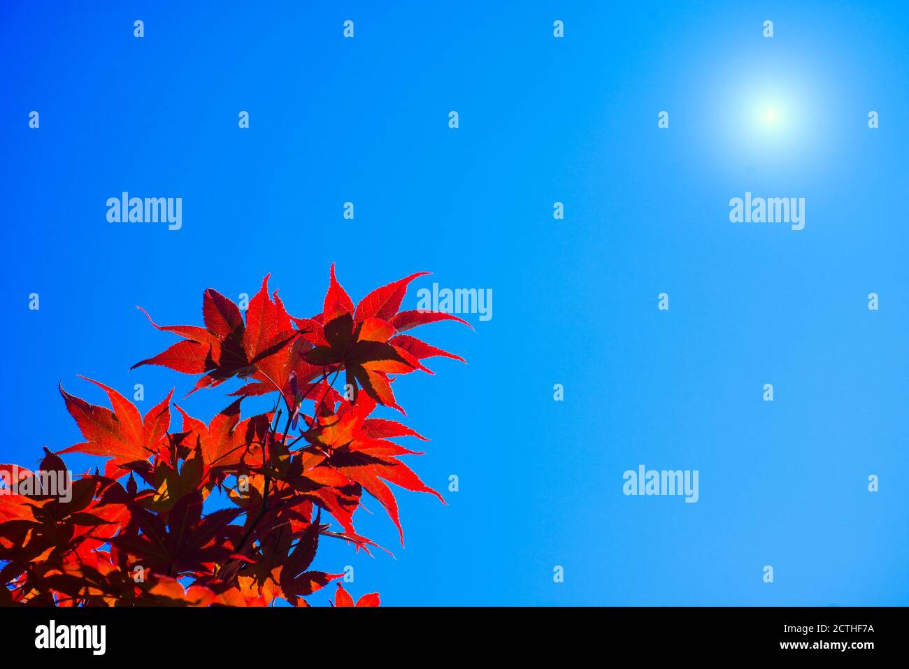 Hot summer sun hi-res stock photography and images - Alamy