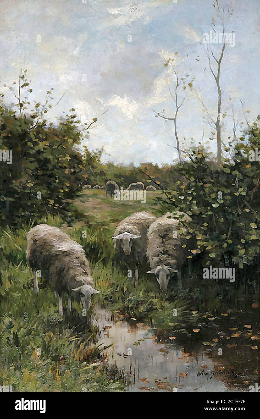 Steelink II Willem - the Sheep Pool - Dutch School - 19th Century Stock ...