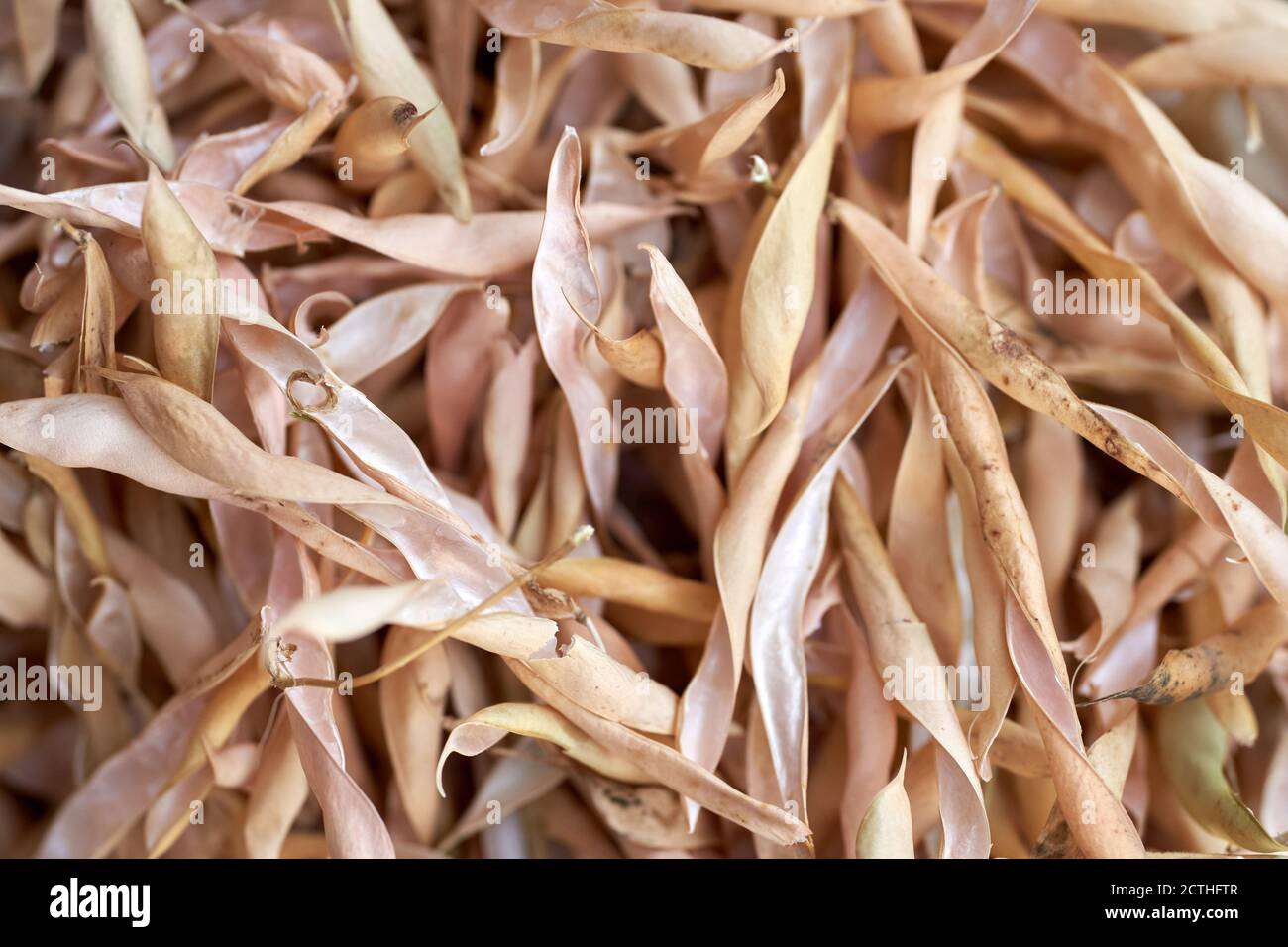 Long thin beans hi-res stock photography and images - Alamy