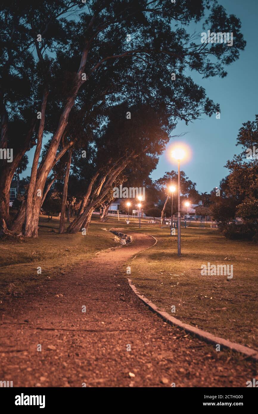 Streetlights illuminated along a winding small dirt path, running ...