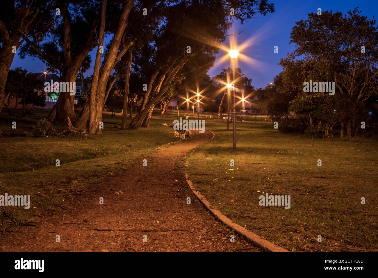 Streetlights illuminated along a winding small dirt path, running ...