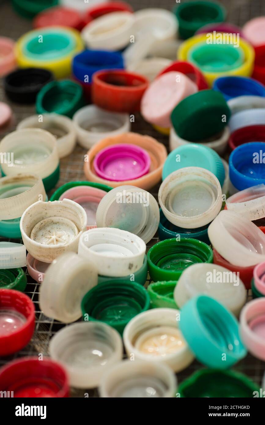 Plastic objects collected on beach and selected for conservation ...