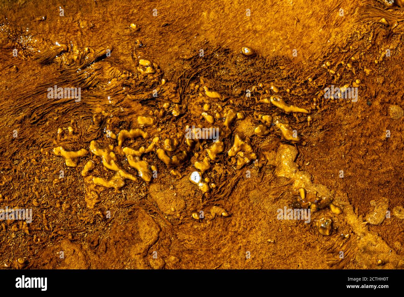 Black Pool run-off Water, West Thumb Geyser Basin Area, Yellowstone ...