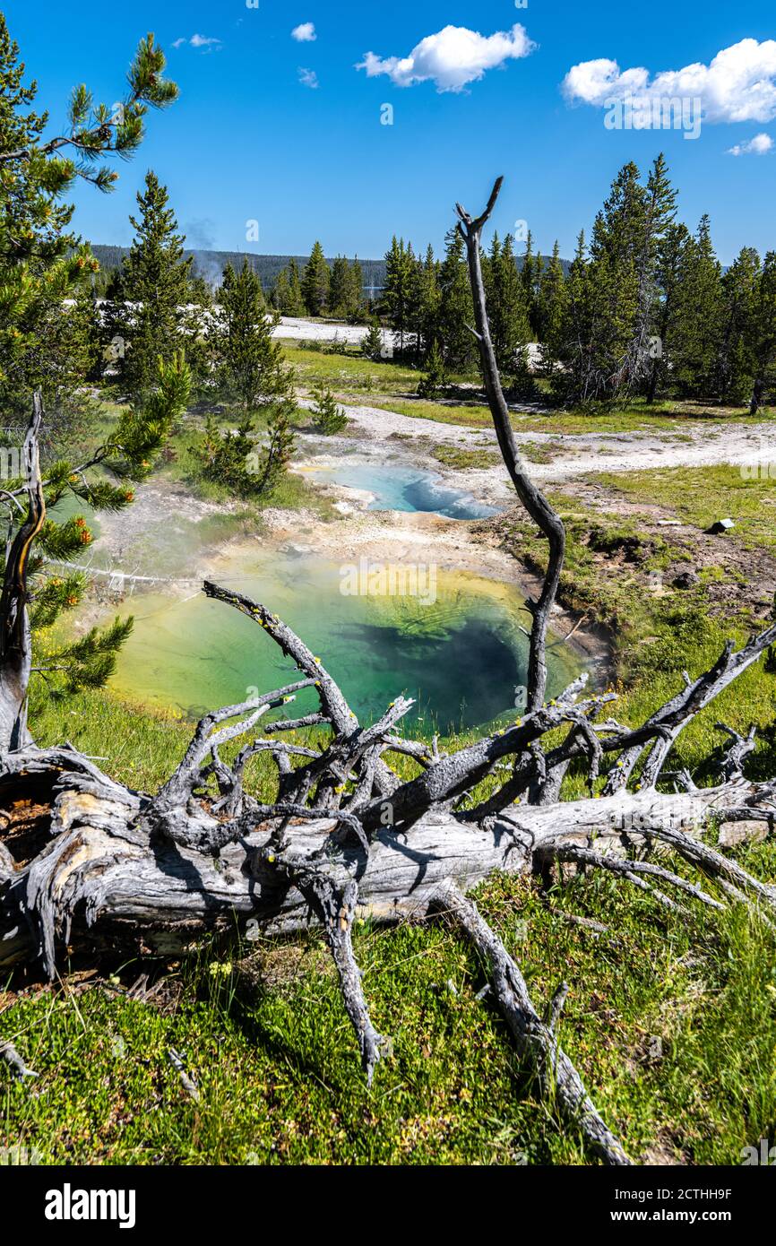Bell basin hi-res stock photography and images - Alamy