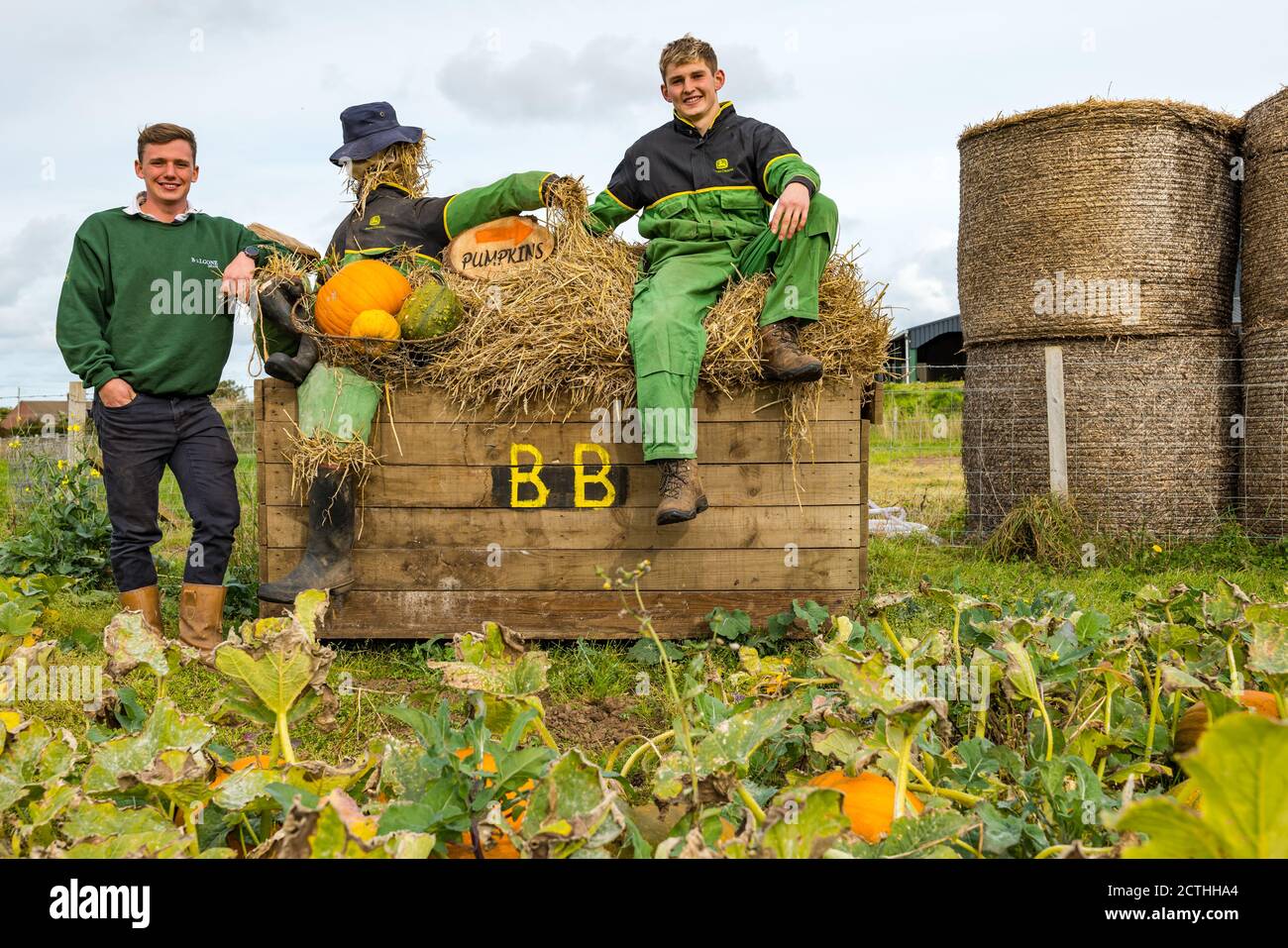 Balgone Farm, East Lothian, Scotland, United Kingdom, 23rd Sept 2020 ...