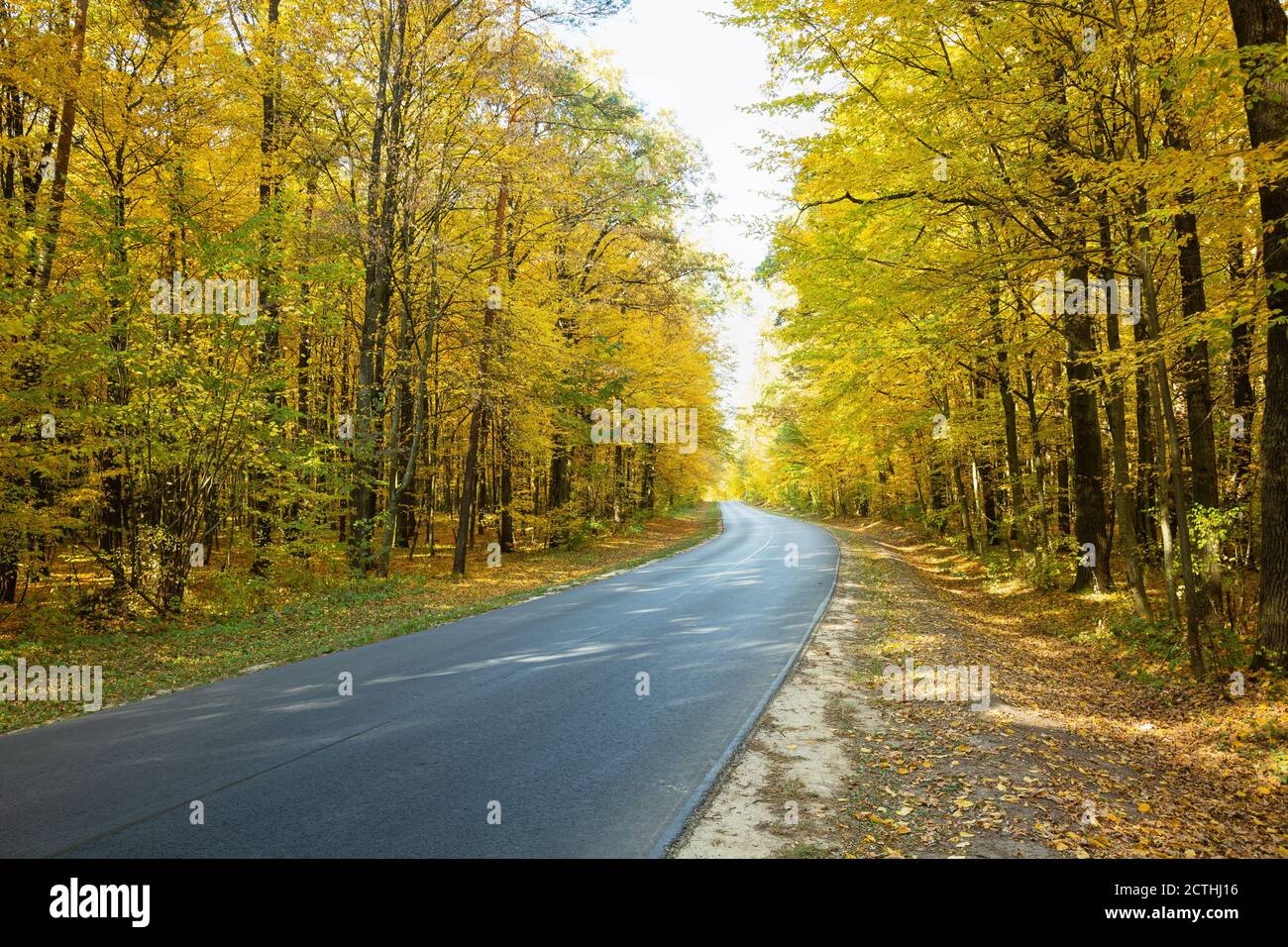 Highway through autumn forest hi-res stock photography and images - Alamy