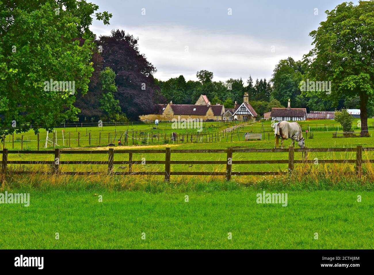 Beautiful english parkland setting hi-res stock photography and images ...