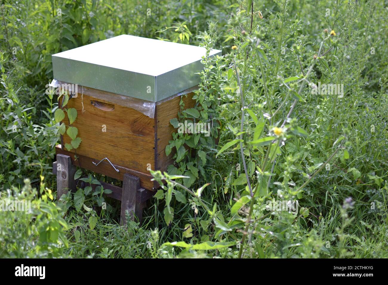 Apiculteur hi-res stock photography and images - Alamy