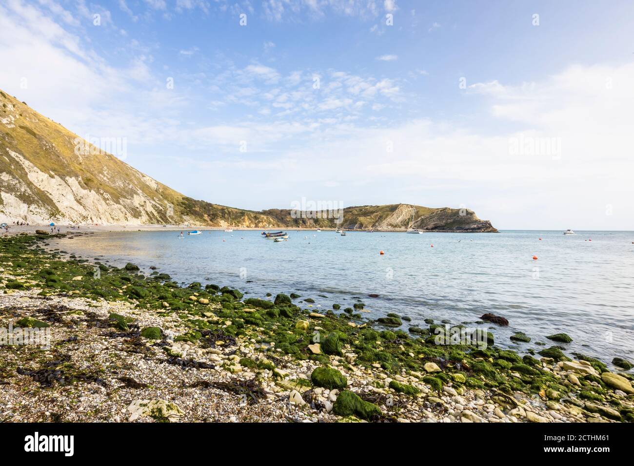 Picturesque coastal view of the bay and chalk cliffs at Lulworth Cove ...