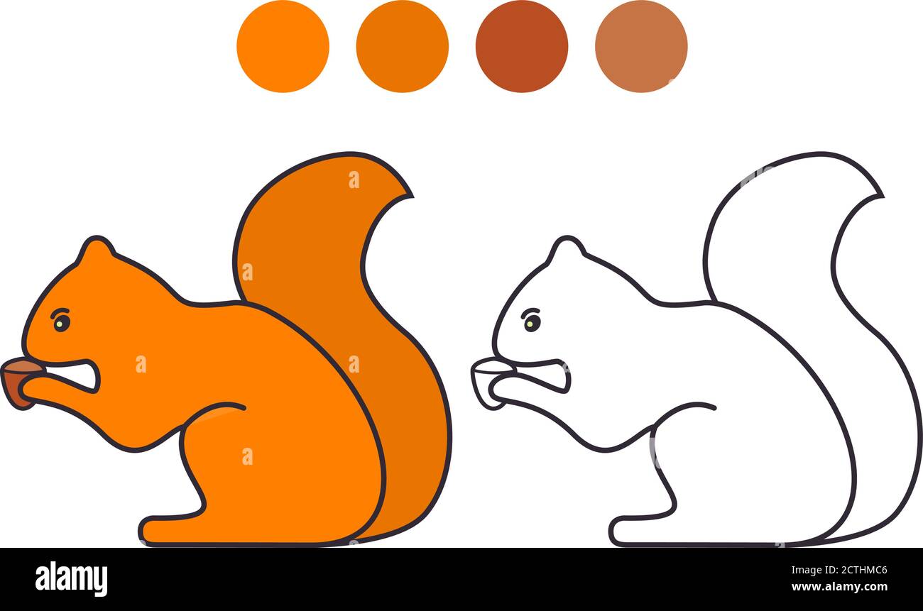 Animal little squirrel and nut.Coloring book for children Stock Vector ...