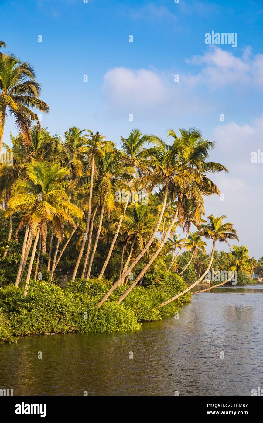 Kollam backwaters hi-res stock photography and images - Alamy