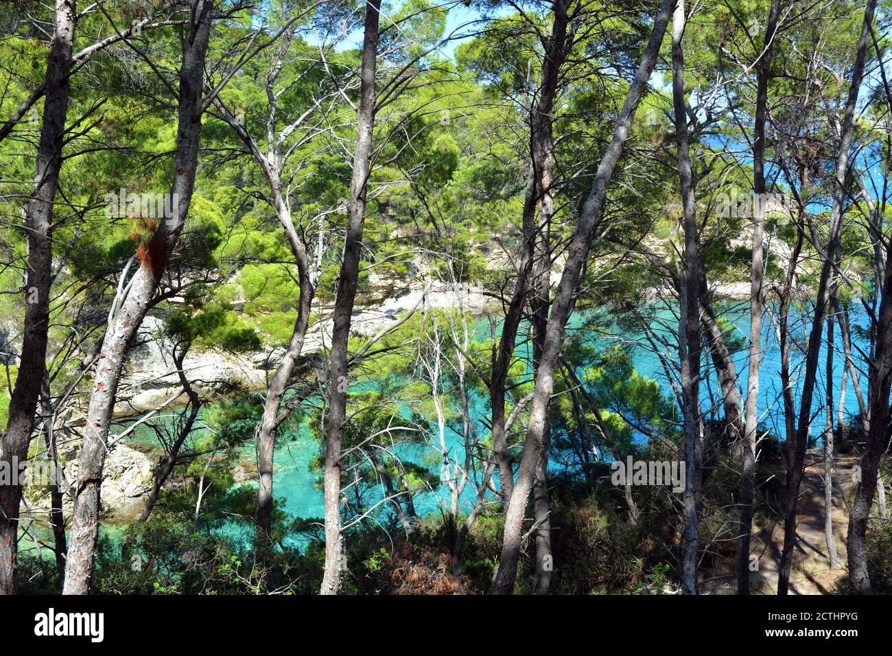 Tremiti, Puglia, Italy -08/28/2020 - View of the Tremiti Islands, small ...