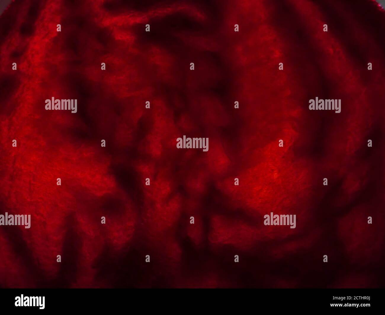 Beetroot thin slice : dark red and black translucent background Stock ...