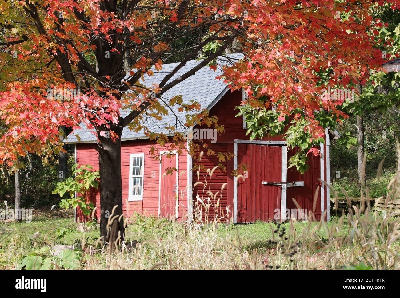Colors of autumn. Scenic view with classic Wisconsin red barn between ...