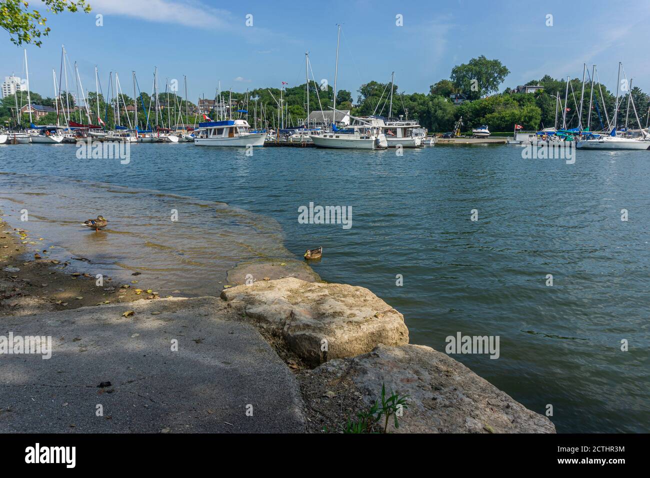 August 2019 - View across harbour inlet from the Waterfront Trail at ...