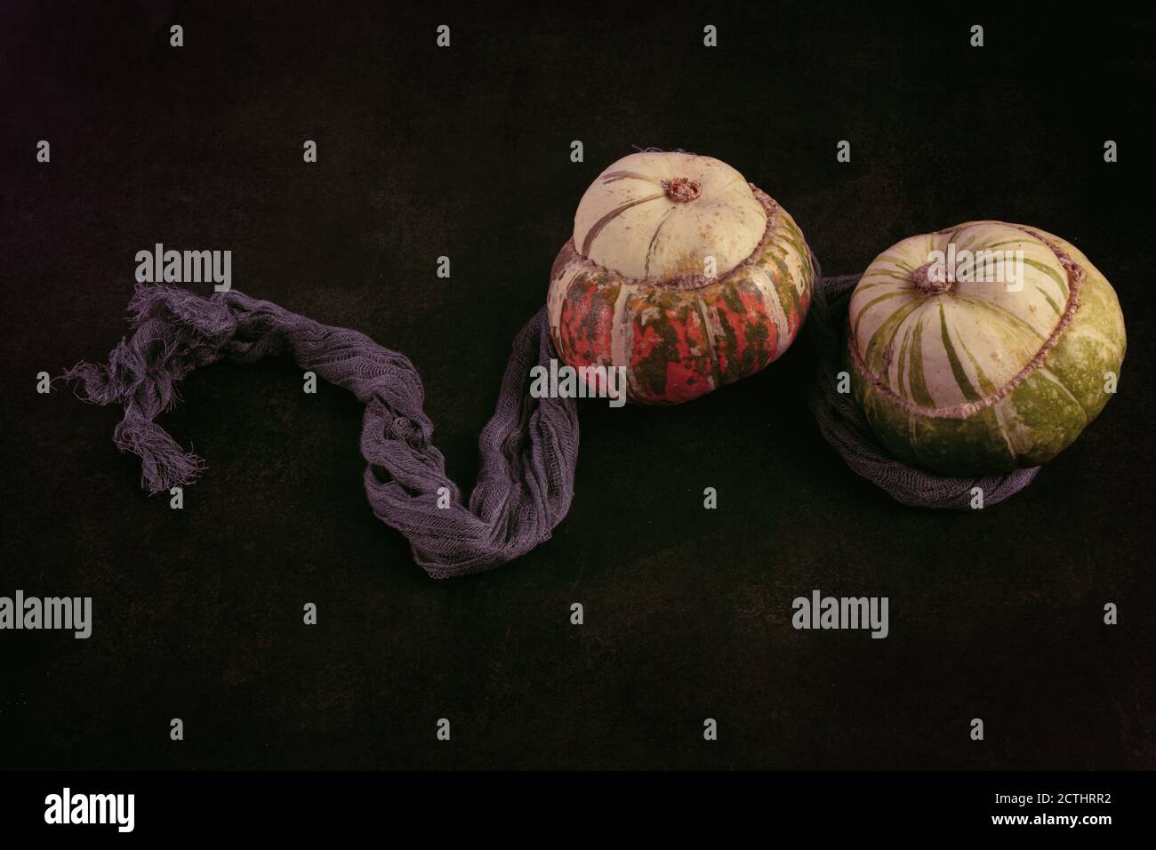 Cucurbita maxima, Giraumon turban de Turc on black background Stock ...