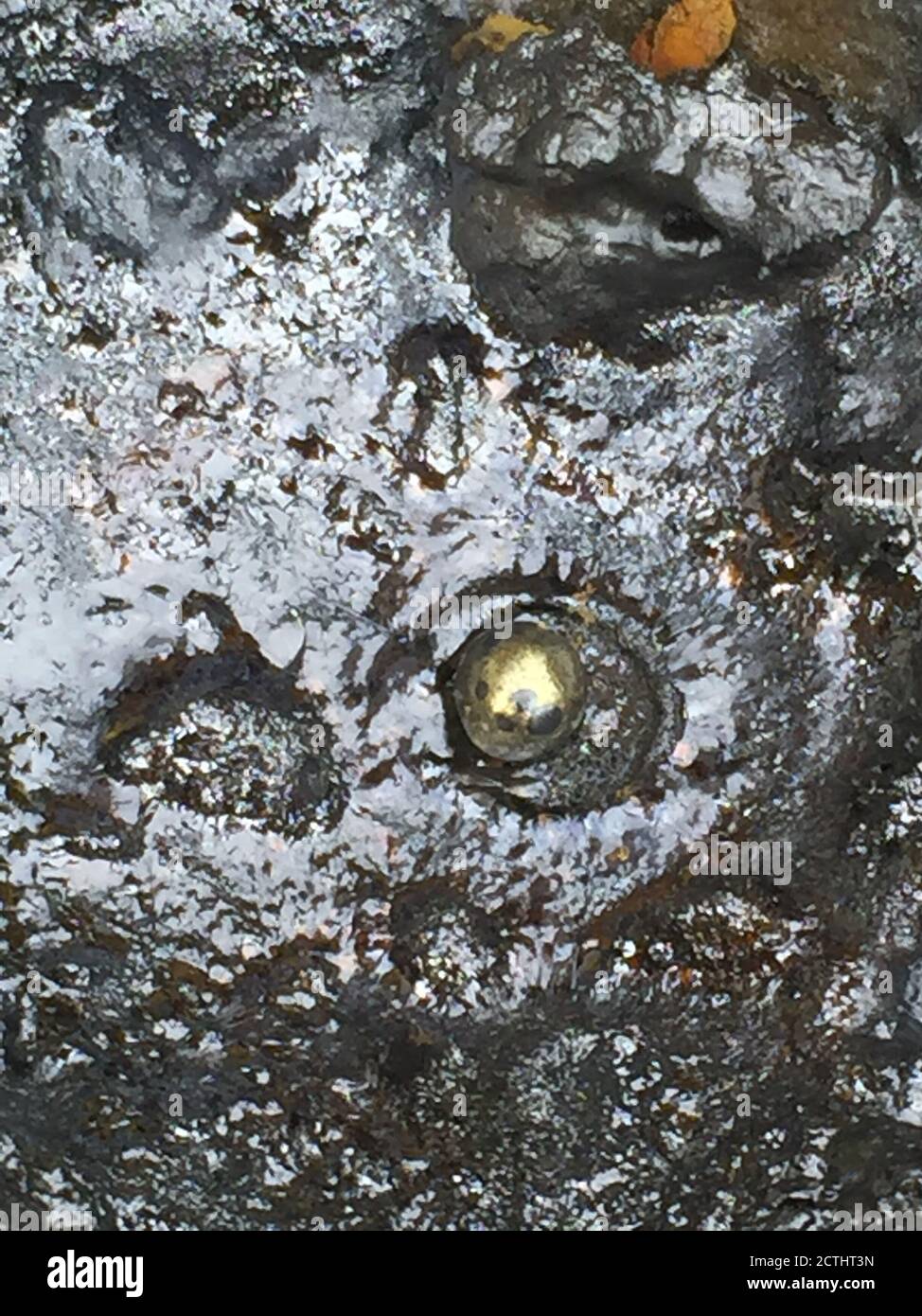 gold refining assay with lead and bone ash crucible an ancient ...