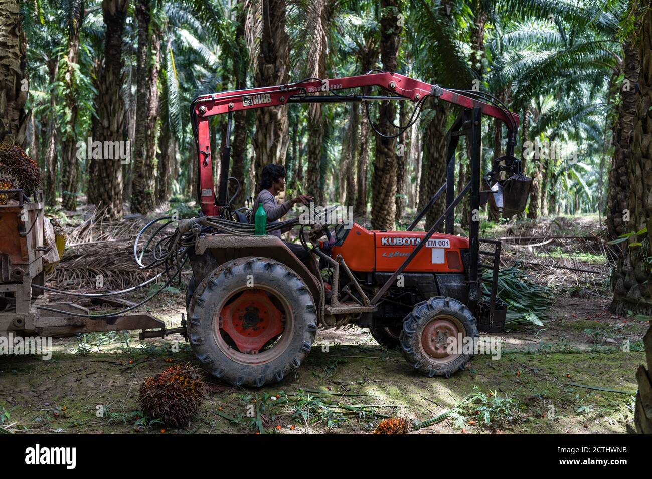 Tenom travel hi-res stock photography and images - Alamy