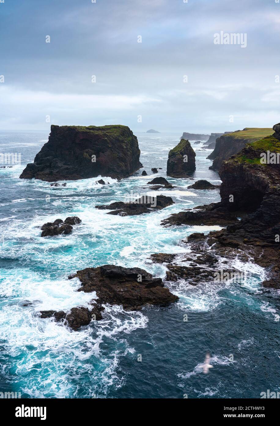 Dramatic cliffs and Moo Stack prominent on coast at Eshaness at ...