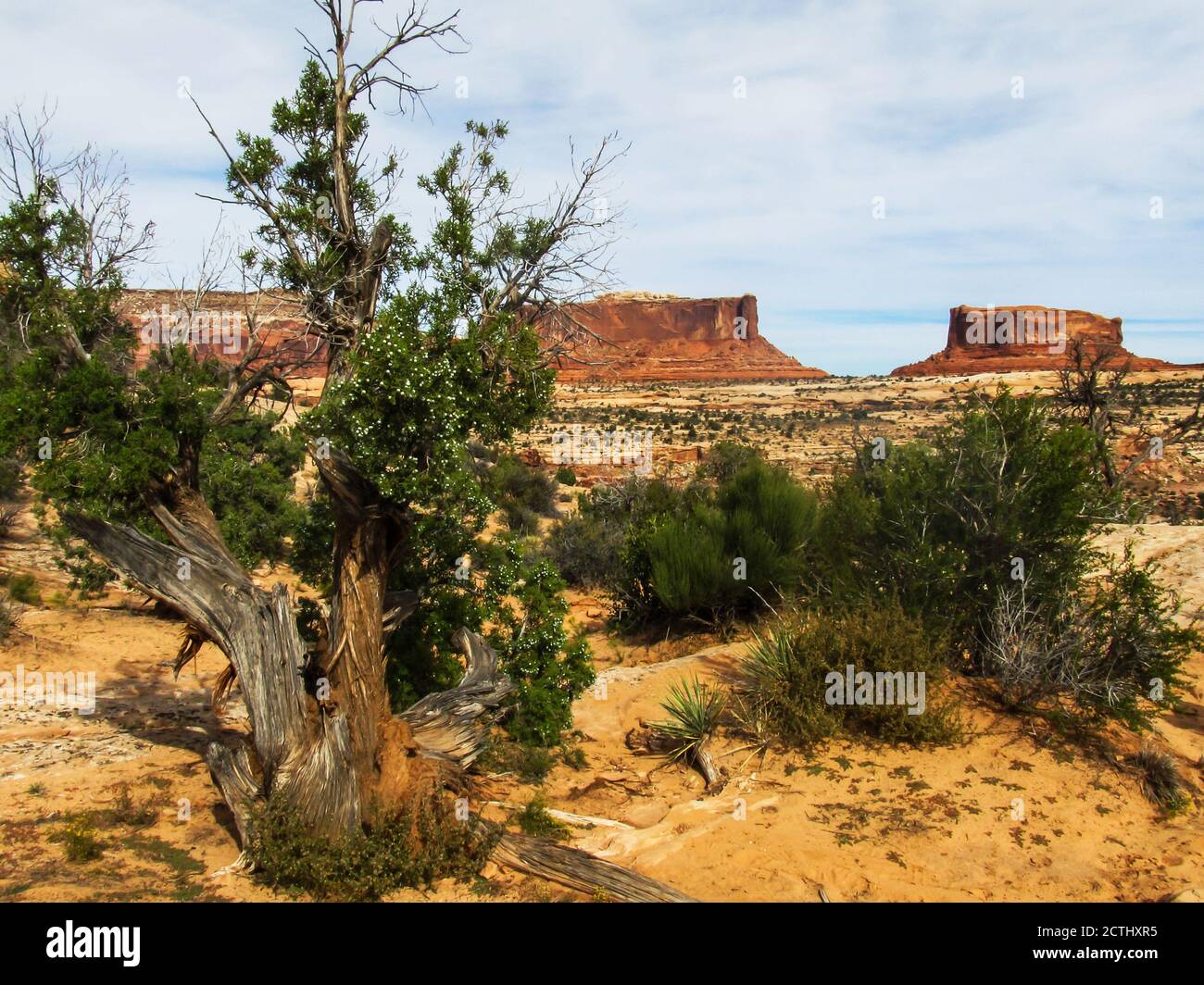 Mesas and buttes hi-res stock photography and images - Alamy