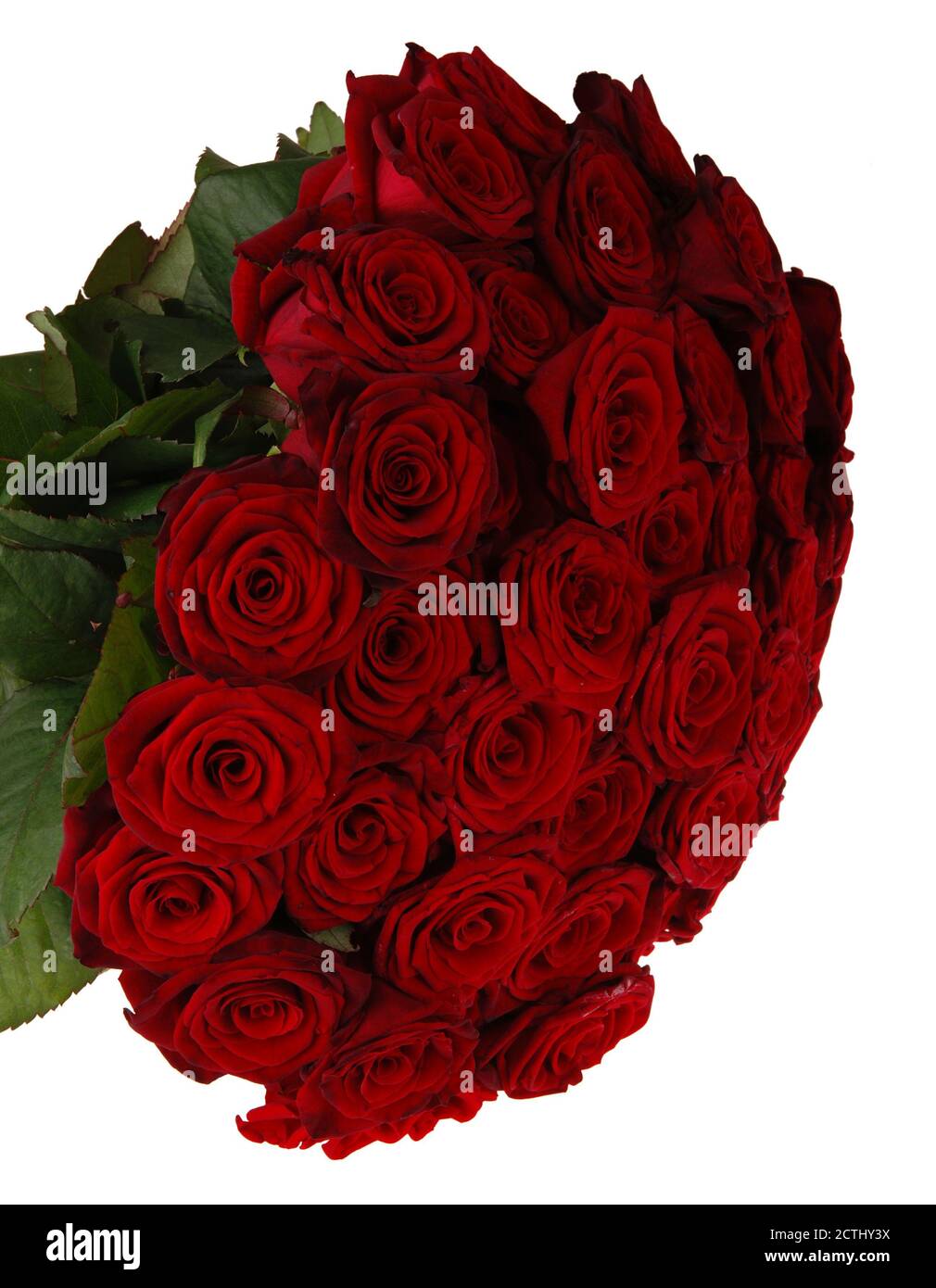 Bunch of red roses isolated on the white background Stock Photo - Alamy