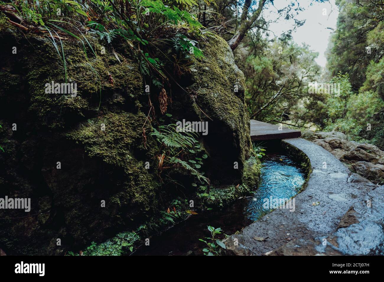 Levada center hi-res stock photography and images - Alamy