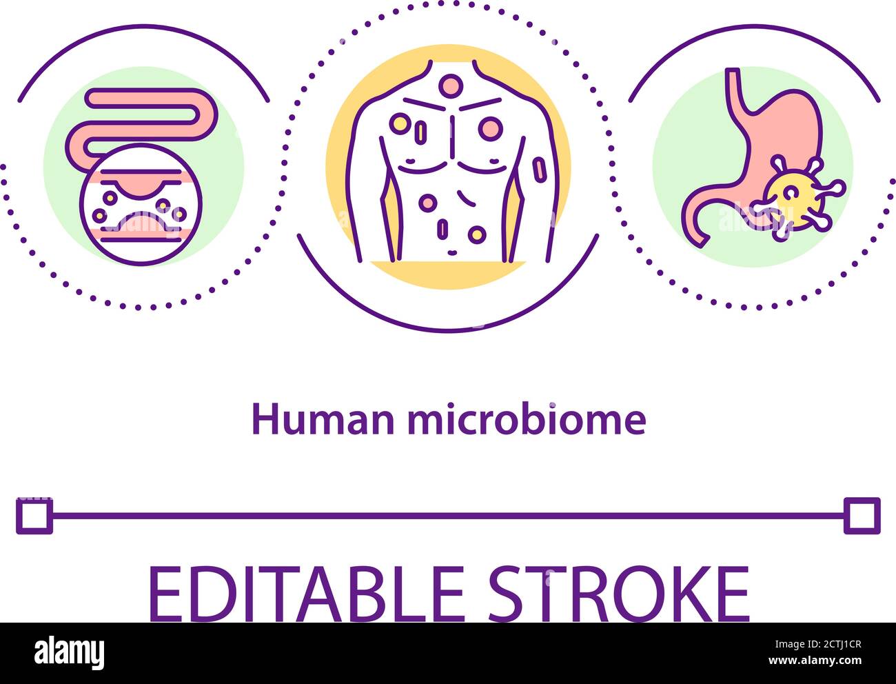 Human microbiome concept icon Stock Vector Image & Art - Alamy