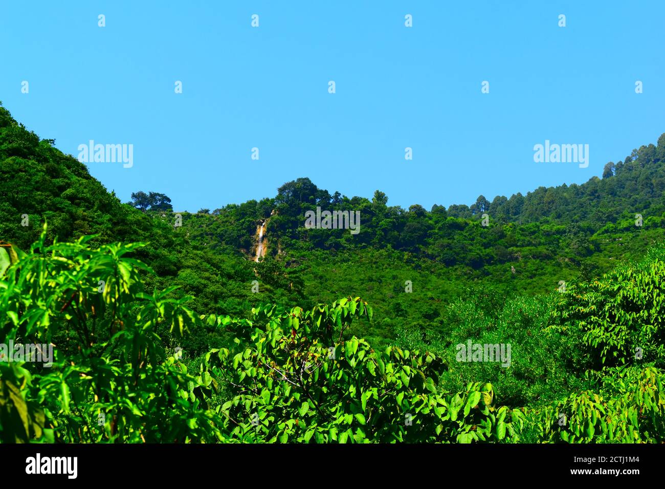 Greenery and waterfall hi-res stock photography and images - Alamy
