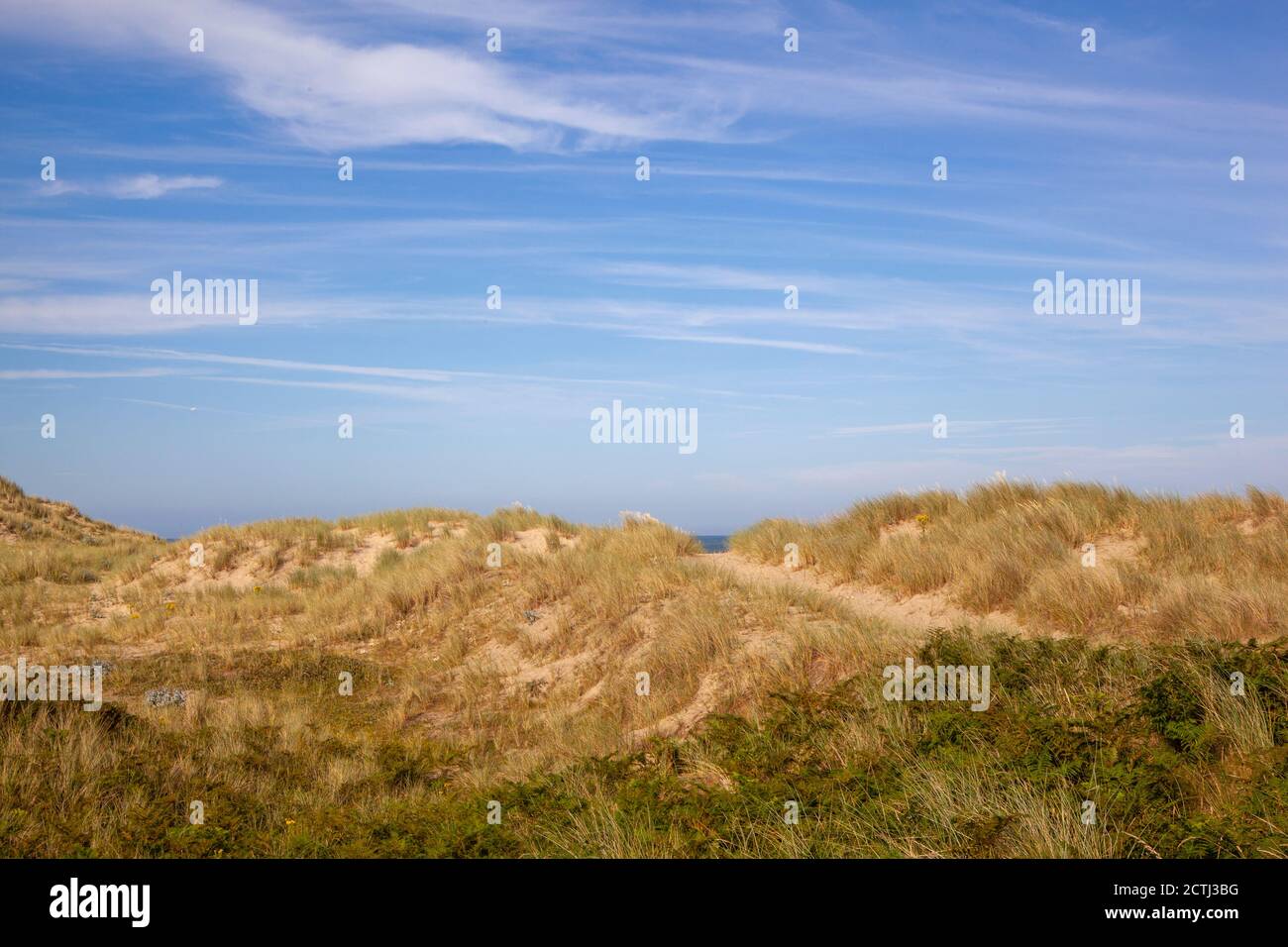 A sandy path across the hill overgrowth with grass to the beach Stock ...