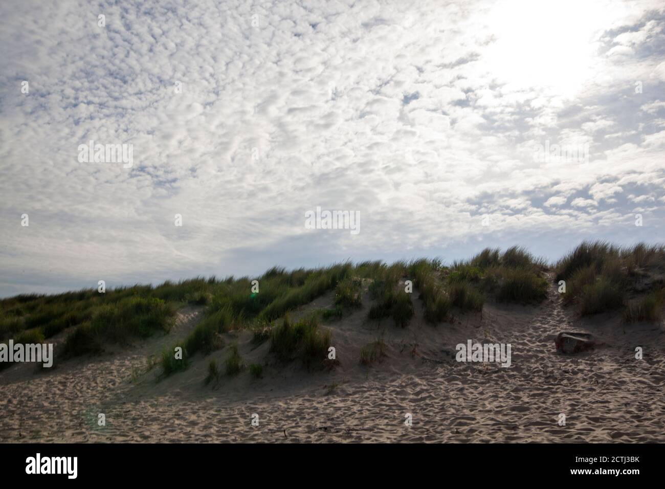 Sandy irish beach with grass Stock Photo - Alamy