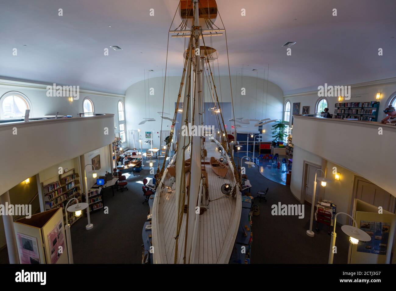 Rose dorothea hi-res stock photography and images - Alamy