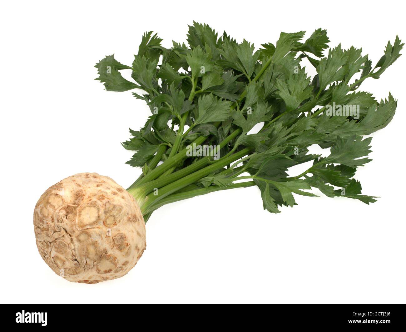 Fresh celery root with leaf isolated on white background Stock Photo ...
