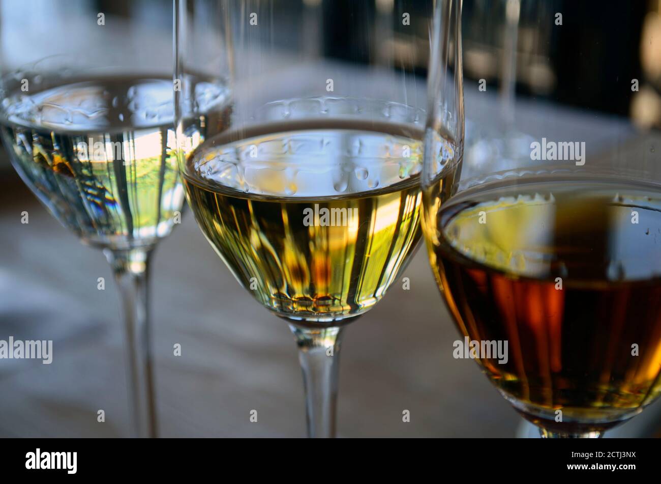 Tequila tequila glasses for tasting, tequila tasting glasses, tequila ...
