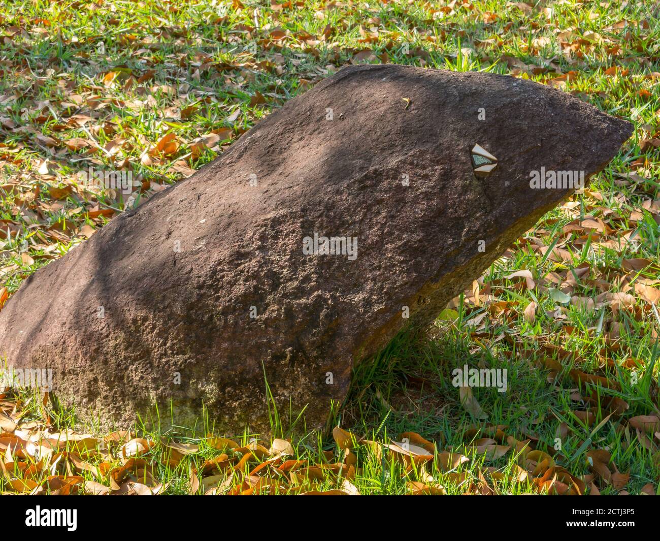 Pareidolia - a rock looking like a frog Stock Photo - Alamy
