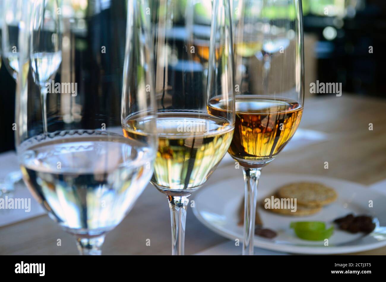 Tequila tequila glasses for tasting, tequila tasting glasses, tequila ...