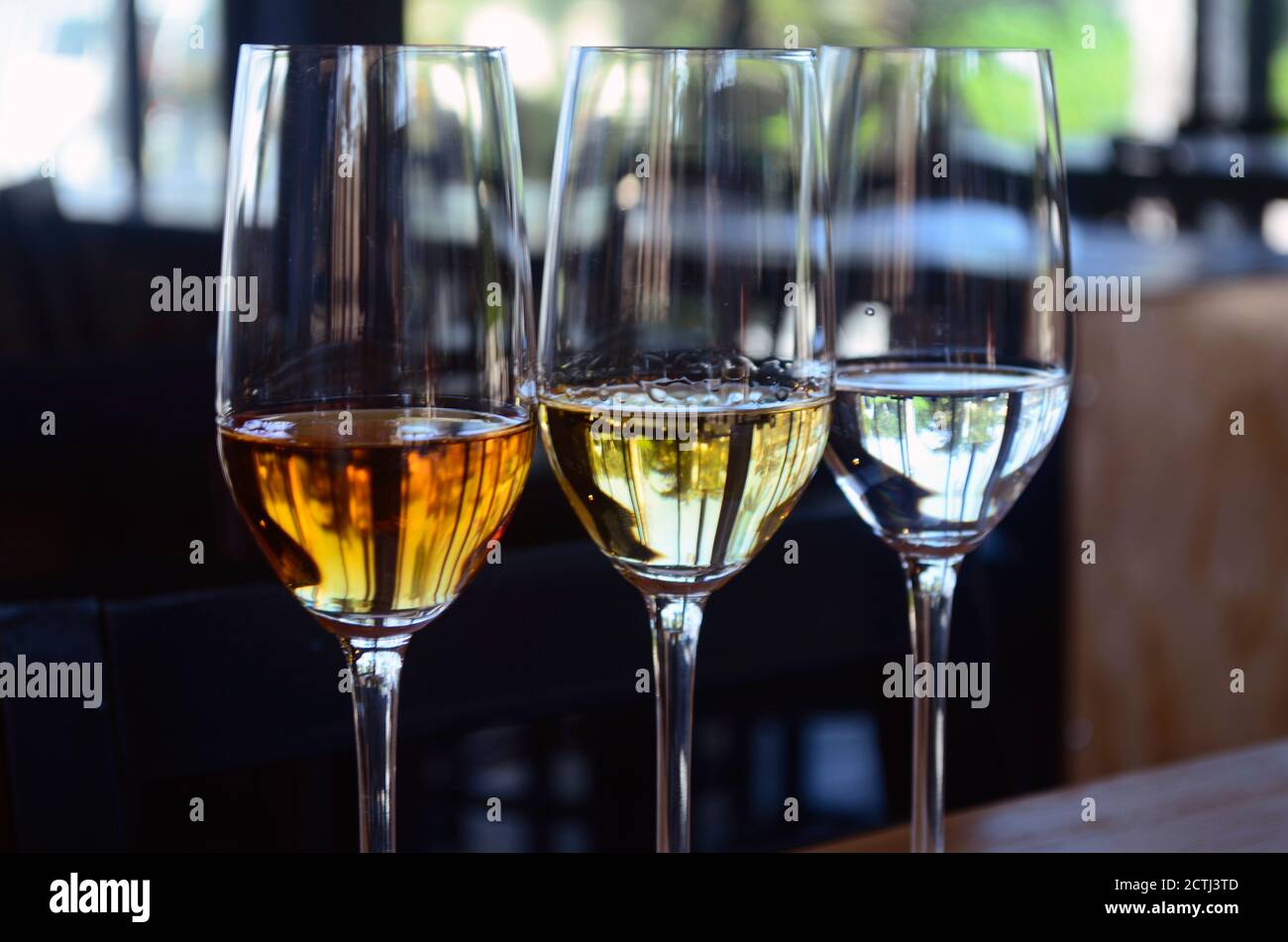 Tequila tequila glasses for tasting, tequila tasting glasses, tequila ...