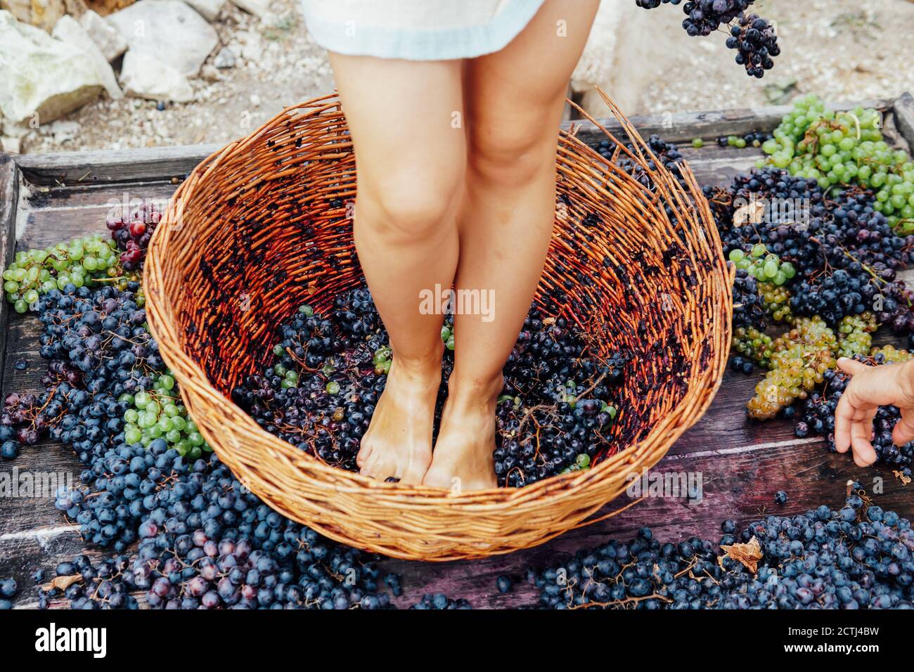 Woman Pressing Fruit Juice High Resolution Stock Photography and Images ...