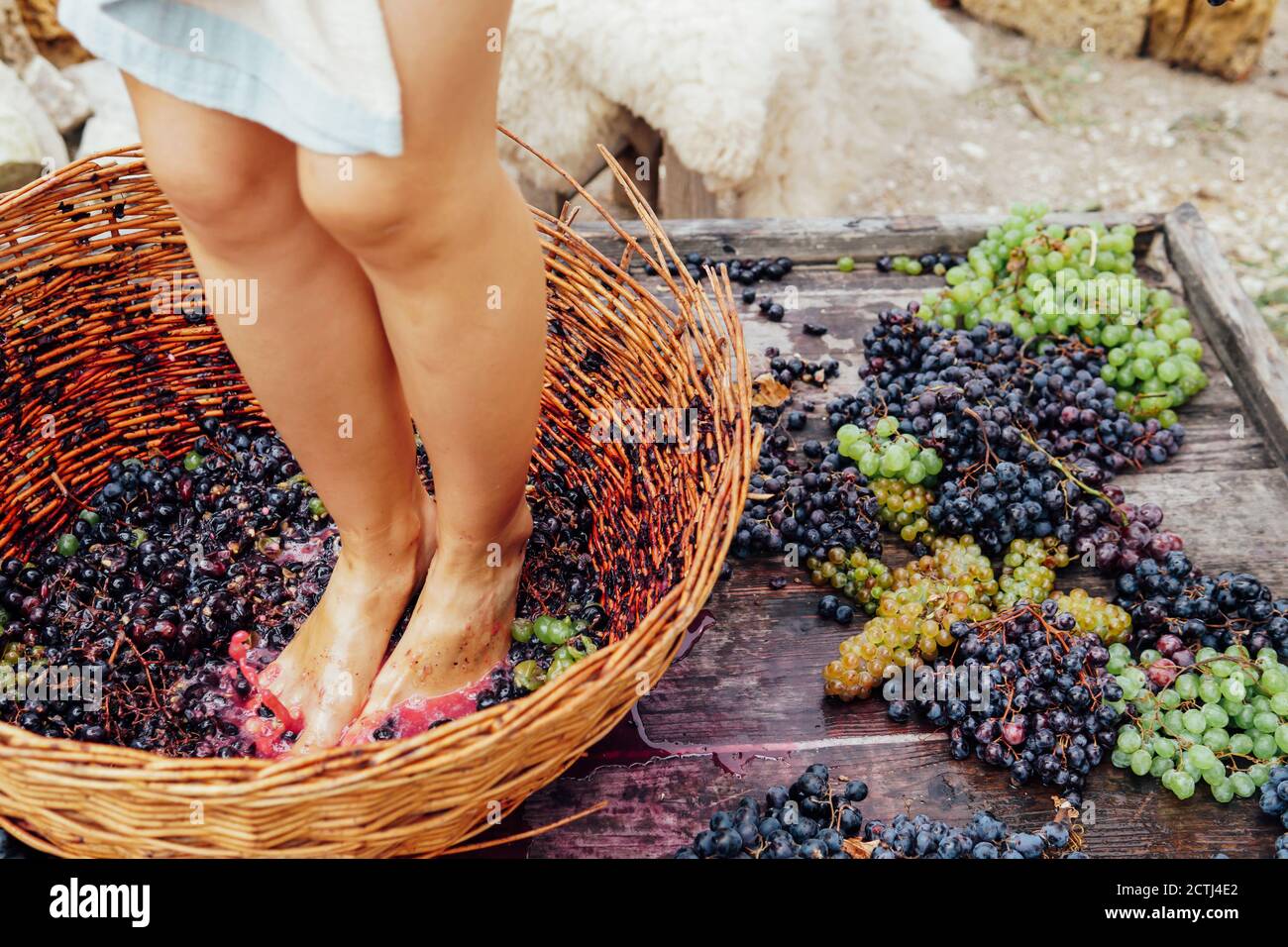 Pressing grapes feet hi-res stock photography and images - Alamy