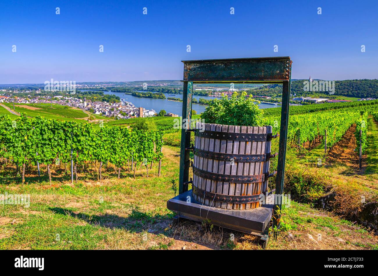 River grape hi-res stock photography and images - Alamy