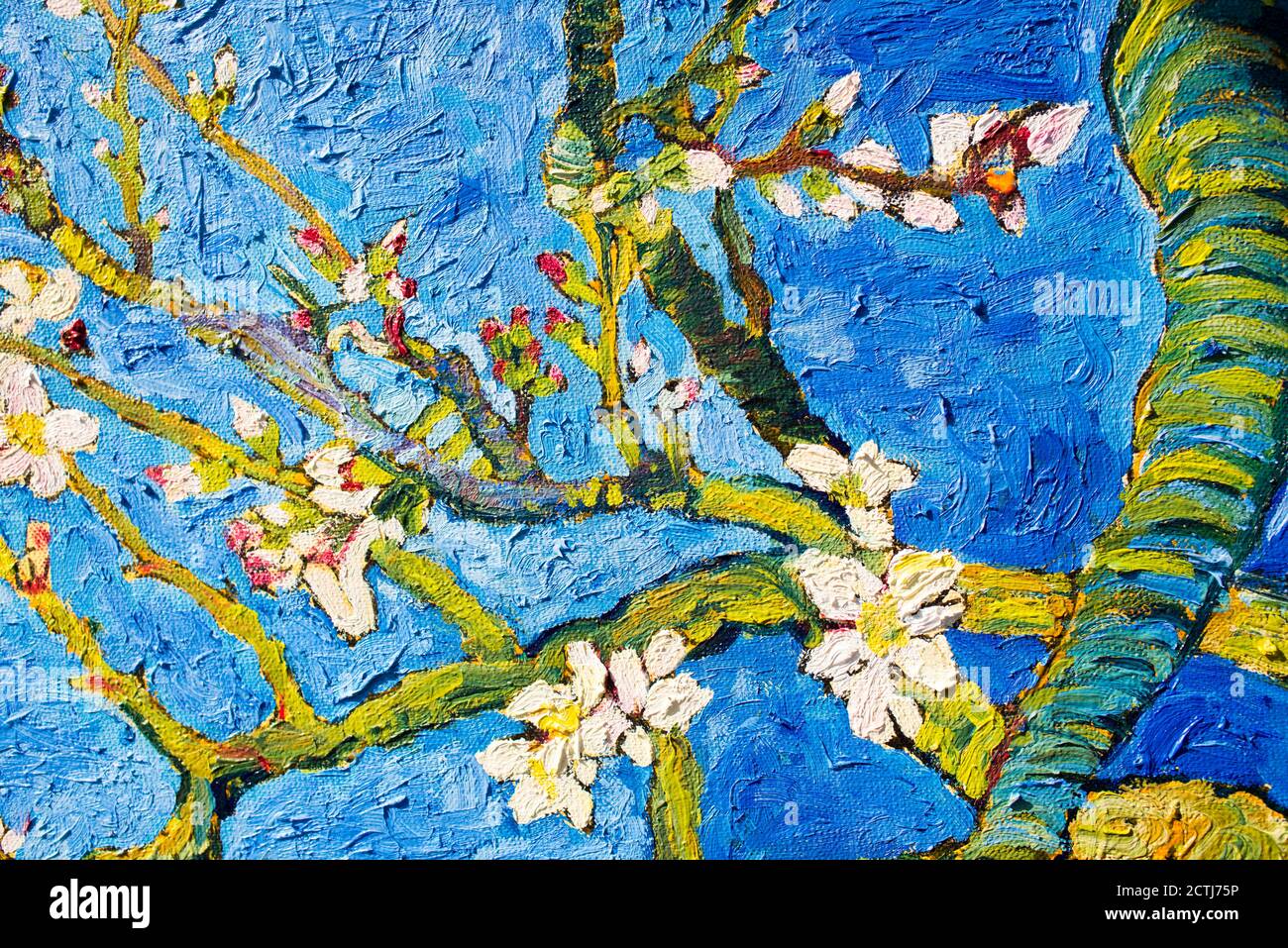 Canvas texture and brush strokes. Details Blooming almond tree. oil ...