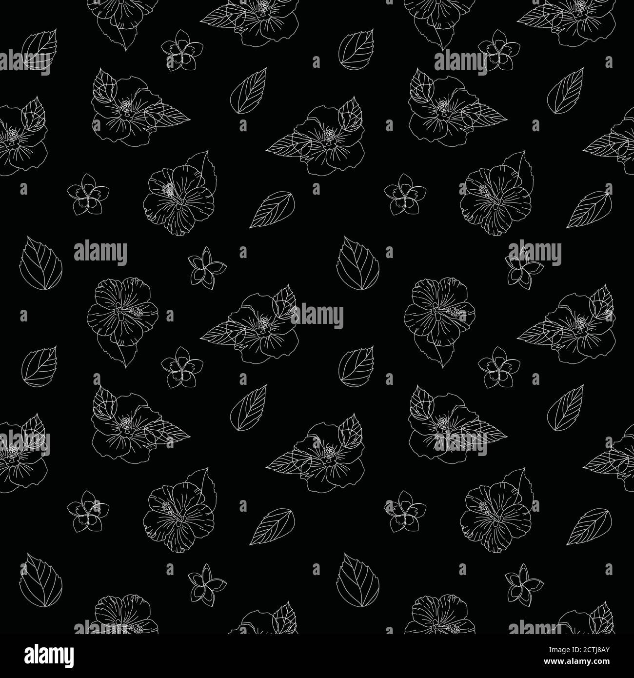 Floral spike Black and White Stock Photos & Images - Alamy