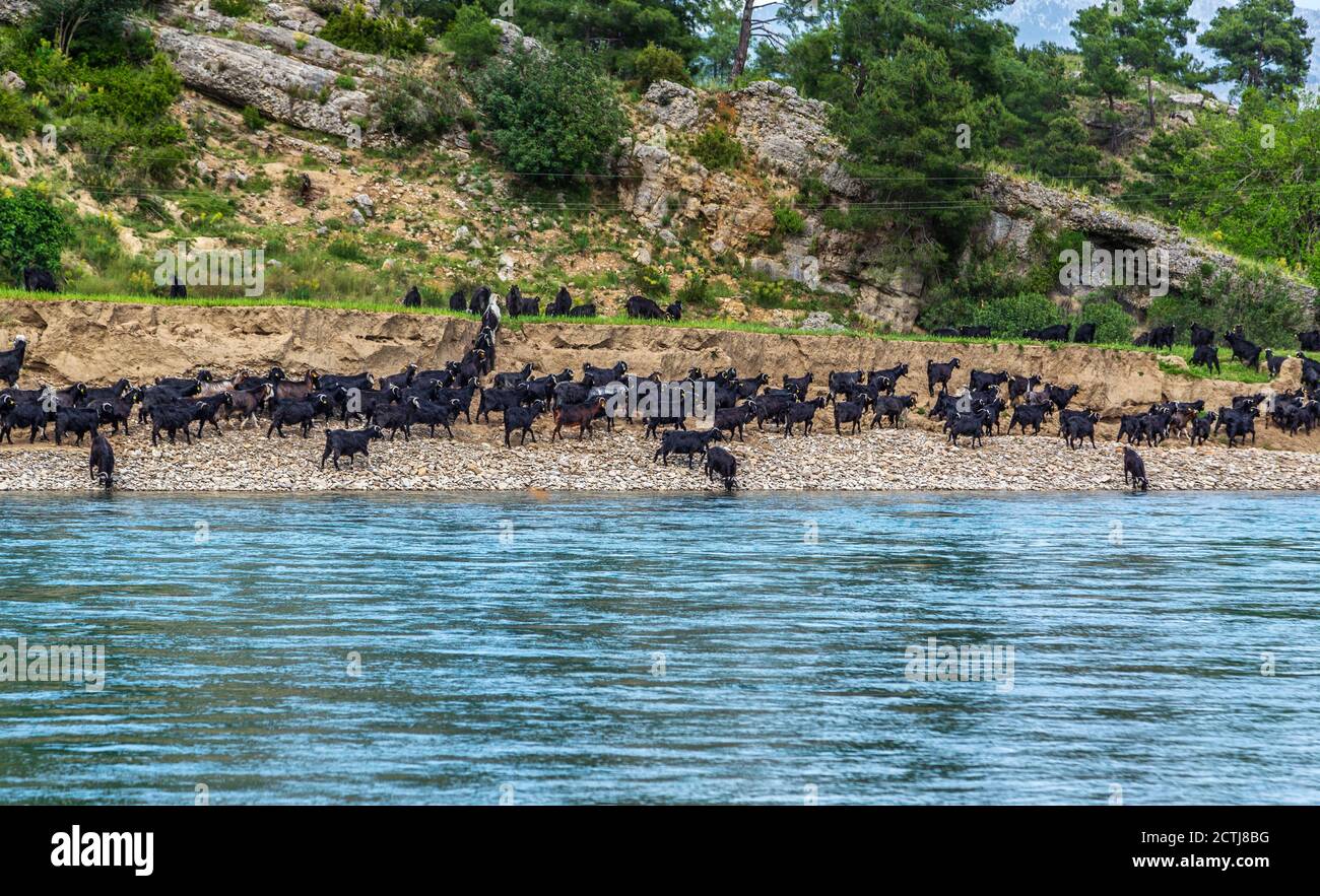 The Köprüçay River, which originates from the Taurus Mountains and ...