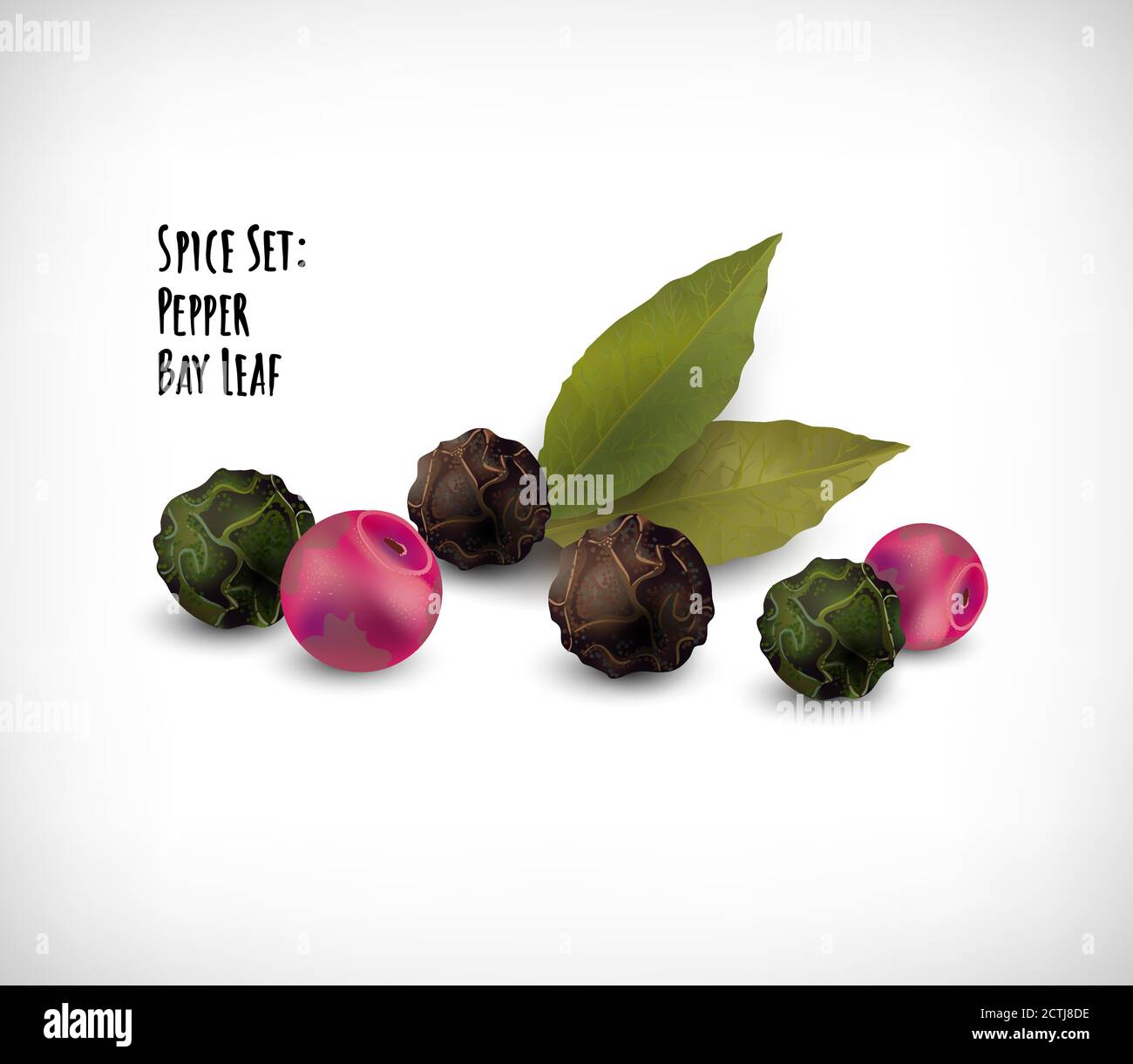 Bay leaf black pepper Stock Vector Images - Alamy