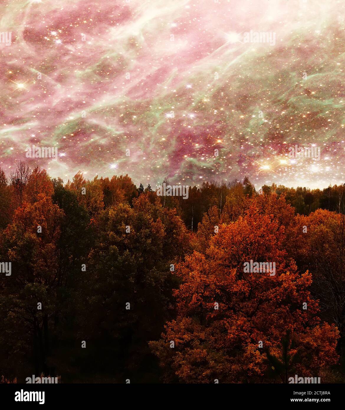 Beautiful autumn forest in evening under starry sky of space. Elements ...