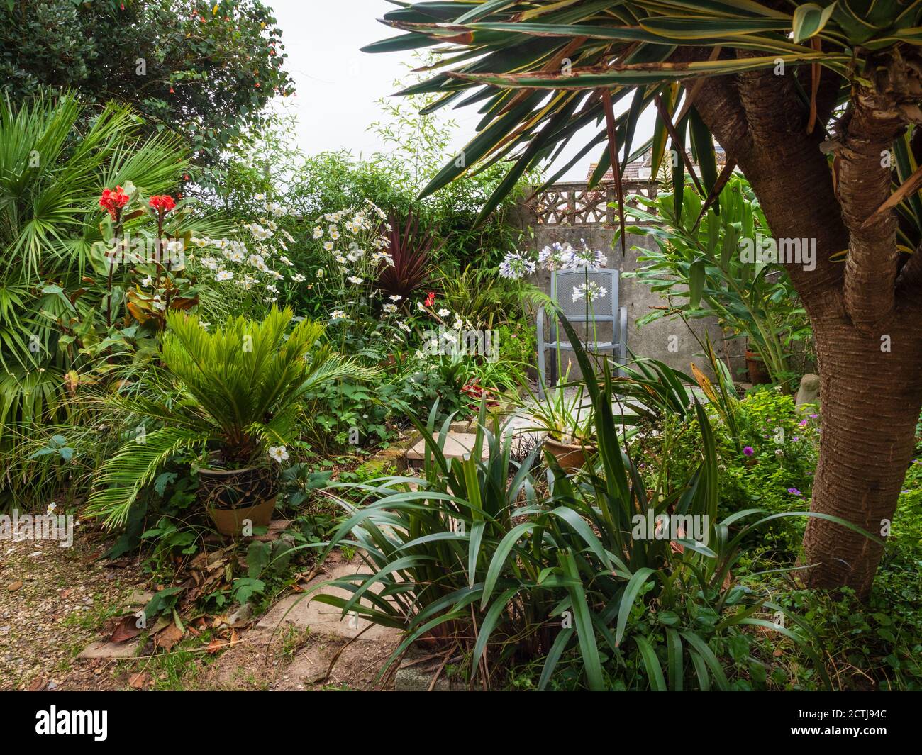 Yucca gloriosa variegata hi-res stock photography and images - Alamy