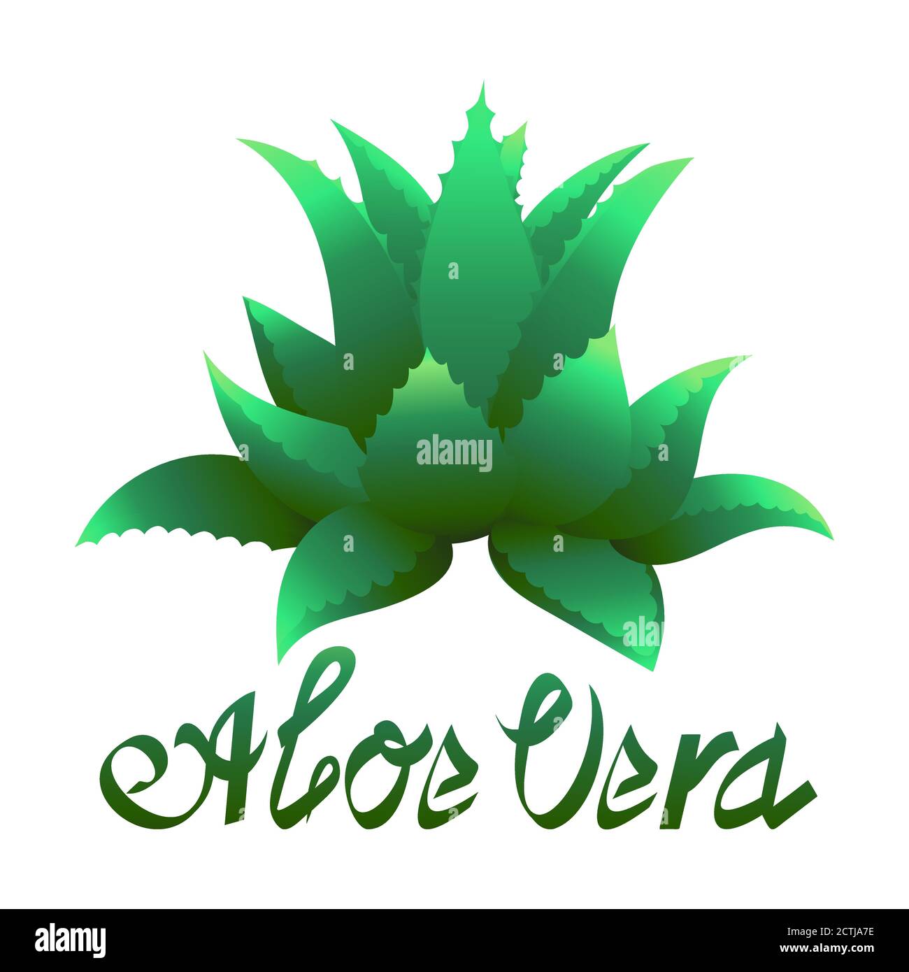Aloe vera plant cream Stock Vector Images - Alamy