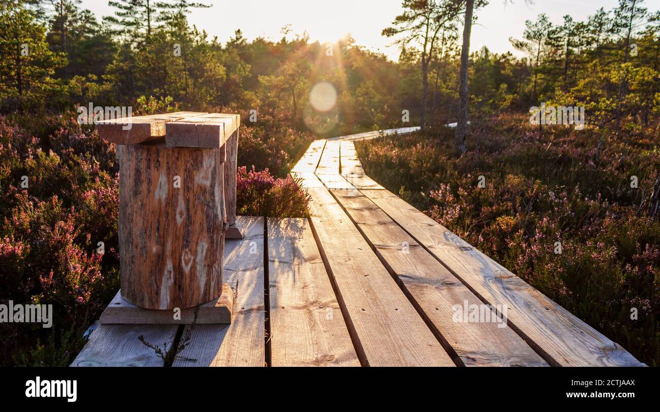 Vasenieki bog trail hi-res stock photography and images - Alamy