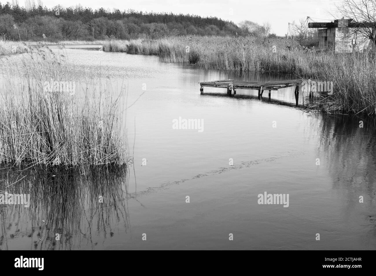 Summer park lake in Black and White Stock Photos & Images - Alamy