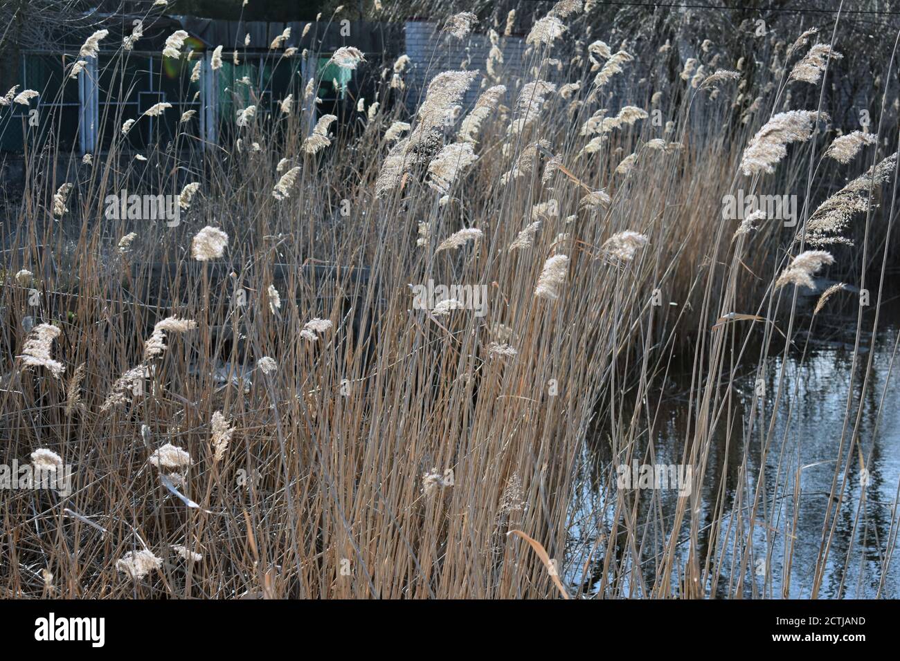 Pond lake river hi-res stock photography and images - Alamy