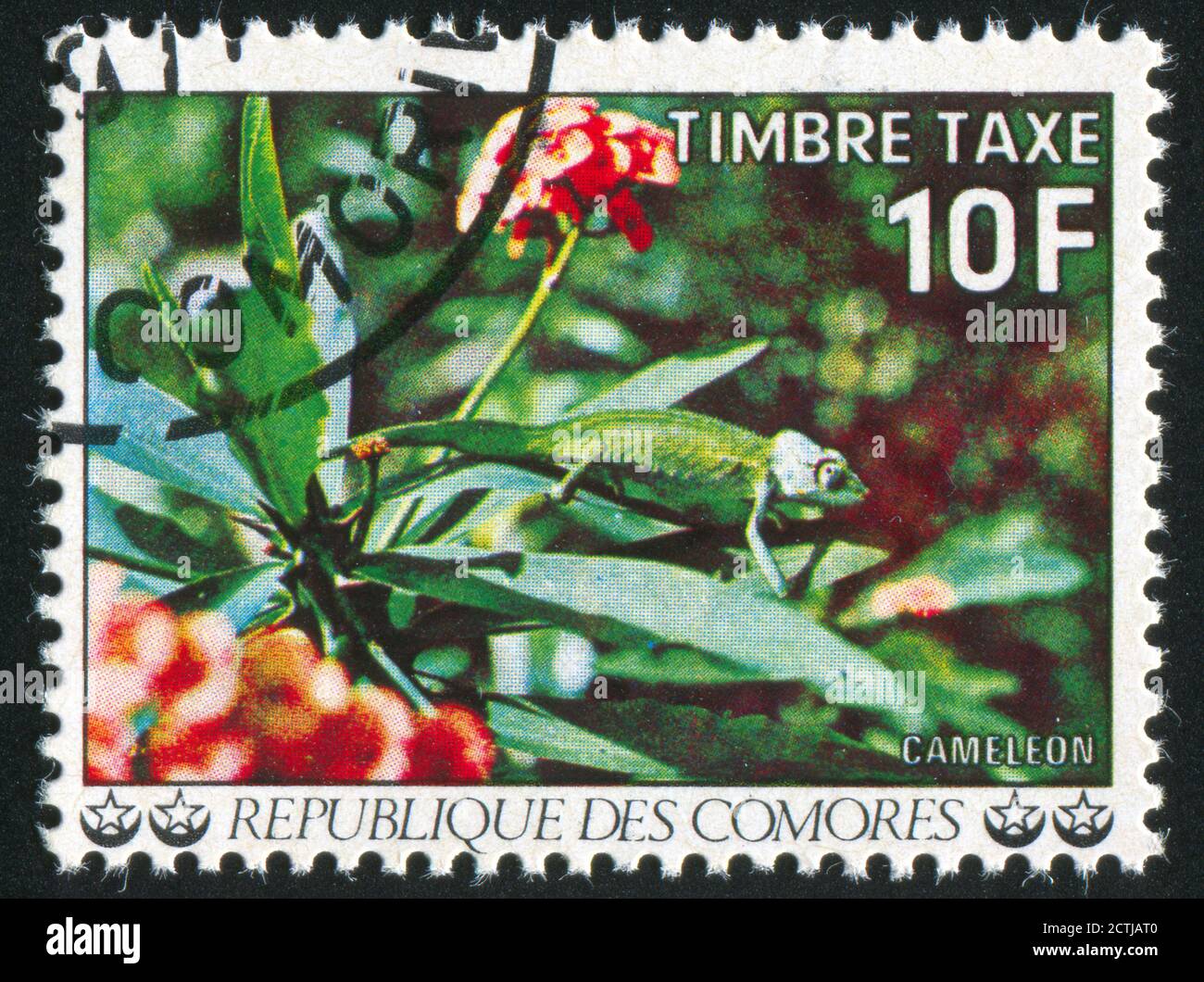 COMORO ISLANDS - CIRCA 1977: stamp printed by Comoro islands, shows ...